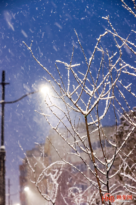 2022初雪美景惹人爱 中华网河南